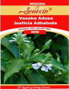 SENECIO® Vasaka, Adusa, Justicia Adhatoda, Ardusi-Malabar Nut ...