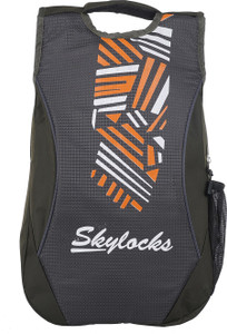 SL Skylocks Laptop Office Backpck 20 L Laptop Backpack Multicolor ...