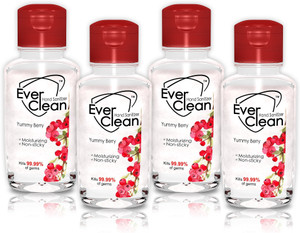 EverClean Hand sanitizer. Hand Sanitizer Bottle - Price in India, Buy ...