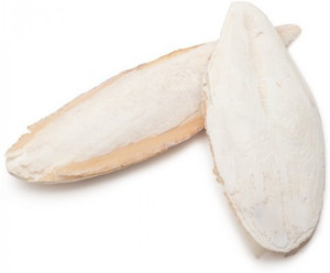 OrchidWala Cuttlefish Bone CALCIUM POWDER 100 Gram - for Oral OR Food ...