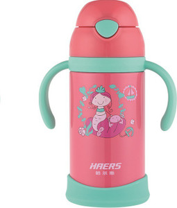 HAERS 330 ml Steel Bottle - Buy HAERS 330 ml Steel Bottle Online at ...