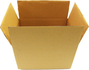 Sriyug Print Production Triple Wall Carton Craft Paper Packaging Box ...