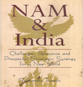 NAM And India: Challenges, Relevance & Prospects: Buy NAM And India ...