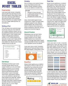 Excel Pivot Tables Laminated Tip Card: Buy Excel Pivot Tables Laminated ...