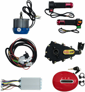 Geekay DIY 48 V 750 Watt BLDC Pedal Electric Rickshaw Motor Kit With ...