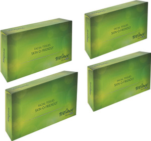 Freshee 100 Sheets 2 Ply Pack Of 4 Facial Tissue Paper - Price in India ...