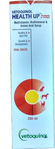 Vetoquinol Health UP PRO 200 ML, Multivitamin , Multimineral and Amino ...