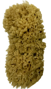 Asian Paints Sea Sponge Sea Sponge Paint Roller Price in India - Buy ...