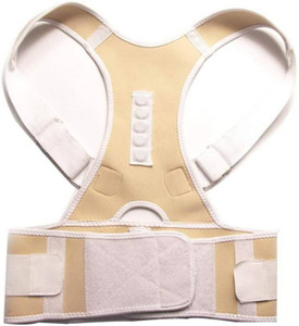 BHADANI SALES Royal Posture Back Support Belt for Posture Corrector ...
