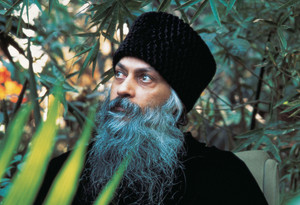 OSHO creative pic POSTER LARGE Print on 36x24 INCHES Fine Art Print ...