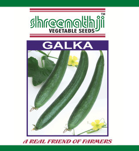 SHREENATHJI Galka Seed Price in India - Buy SHREENATHJI Galka Seed ...