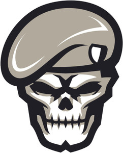 skull commando |Wall Poster Sticker|Motivational Poster|Funky Poster ...