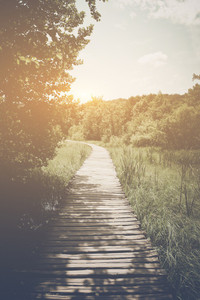 ground scene |Wall Poster Sticker|Motivational Poster|Funky Poster ...