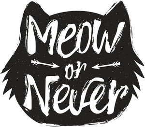 meow or never sticker poster|Motivational Poster|Inspirational Poster ...
