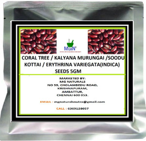 MGBN CORAL TREE / KALYANA MURUNGAI /SOODU KOTTAI / ERYTHRINA VARIEGATA ...