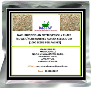 MGBN NAYURUVI/INDIAN NETTLE/PRICKLY CHAFF FLOWER/ACHYRANTHES ASPERA ...