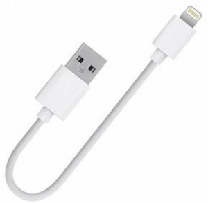Tech-X Lightning Cable 0.01 m Fast Charging Lightning Power Bank Data ...