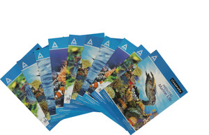 Classmate notebook (24 X 18 cm) 120 pages (Set of 10) A4 Notebook ...