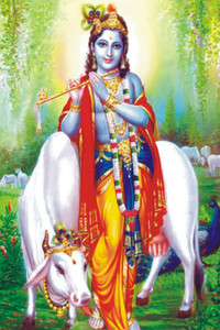 Lord Krishan Poster-Mythological/Religious Poster - Decorative wall ...