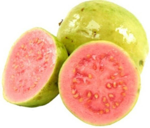 VS GLOBAL imported organic sweet red guava ( 50 per packet ) Seed Price ...