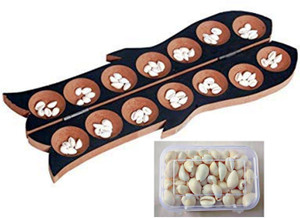 Jayam Pallankuzhi with shells and Box Educational Board Games ...