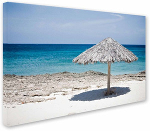 Trademark Art Canvas 15 inch x 30 inch Painting Price in India - Buy ...