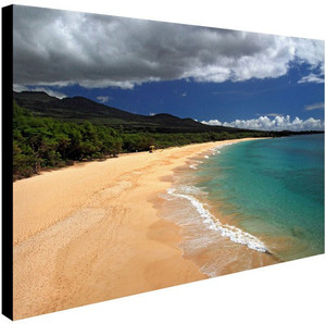 Trademark Art Canvas 15 inch x 30 inch Painting Price in India - Buy ...