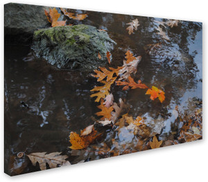 Trademark Art Canvas 15 inch x 30 inch Painting Price in India - Buy ...