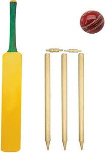 SW leather ball bat and 2 bailwicket Cricket Kit - Buy SW leather ball ...