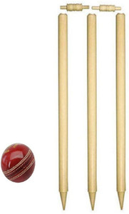 EeZe Life wicket and ball Cricket Kit - Buy EeZe Life wicket and ball ...