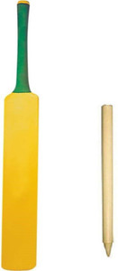 EeZe Life bat and 1 wicket Cricket Kit - Buy EeZe Life bat and 1 wicket ...