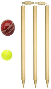 utc leather ball wicket and 2 stumps ball Cricket Kit - Buy utc leather ...