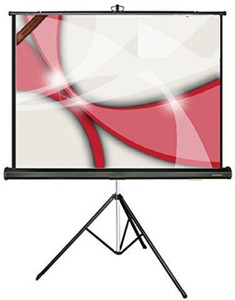 royality tripod floor stand Projector Screen (Width 12 cm x 8 cm Height ...