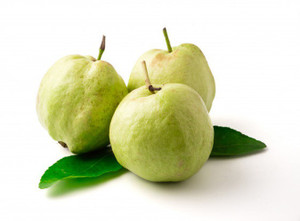 Trothic Gardens Live Plant Gauva Fruit Giant Guavas Exotic Outdoor ...