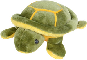 Teddy Turtle - 30 cm - Turtle . Buy turtle toys in India. shop for ...