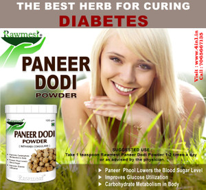 Rawmest Pure Paneer Dodi Powder 300 gm Price in India - Buy Rawmest ...