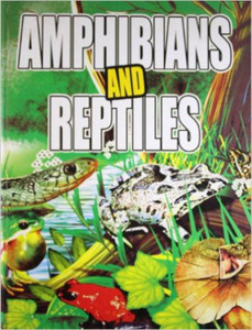 Amphibians and Reptiles: Buy Amphibians and Reptiles by Om Books ...