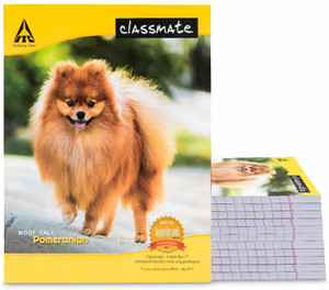 Classmate WINTER TIME Regular Notebook SINGLE RULED 172 Pages Price in ...