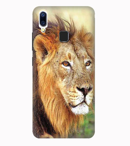PRINTAXA Back Cover for Vivo Y93 / Vivo 1815 / PD1818CF_EX - PRINTAXA ...