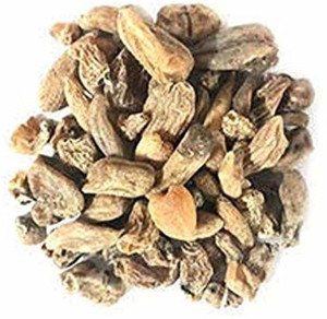 PREMIER PLANTS Salam Mishri Seed Price in India - Buy PREMIER PLANTS ...