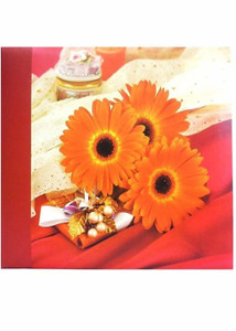 NATRAJ ORIGINAL 80 PHOTOS high quality Album 0.5MM THICK PVC filmS(Size ...