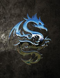 Chromium Dragon Blank Sketchbook: Buy Chromium Dragon Blank Sketchbook ...