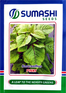 SUMASHI AMARANTHUS Seed Price in India - Buy SUMASHI AMARANTHUS Seed ...