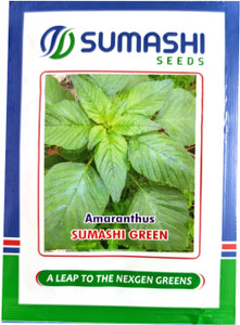 SUMASHI AMARANTHUS Seed Price in India - Buy SUMASHI AMARANTHUS Seed ...
