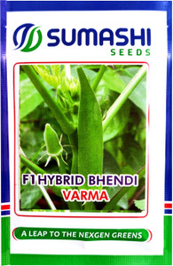SUMASHI BHENDI Seed Price in India - Buy SUMASHI BHENDI Seed online at ...