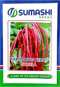 SUMASHI BEANS Seed Price in India - Buy SUMASHI BEANS Seed online at ...