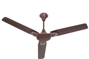 RGL SSDX MAROON 1200MM Ceiling fan with 1 Year Warranty 1200 mm Ceiling ...