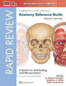 Rapid Review: Anatomy Reference Guide: Buy Rapid Review: Anatomy ...