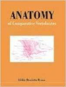 Anatomy of Comparative Vertebrates: Buy Anatomy of Comparative ...