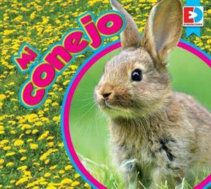 Mi Conejo: Buy Mi Conejo by Nugent Samantha at Low Price in India ...